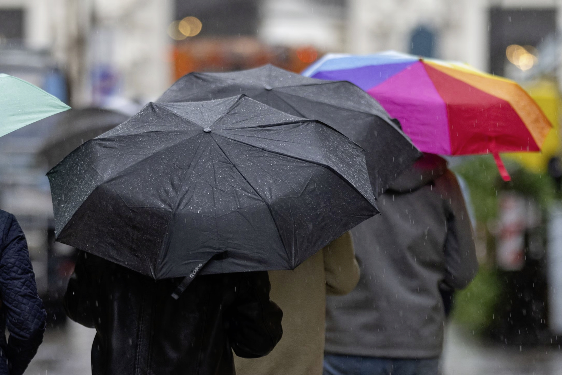 Vienna and Lower Austria Prepare for Flooding as Heavy Rain and Storms ...